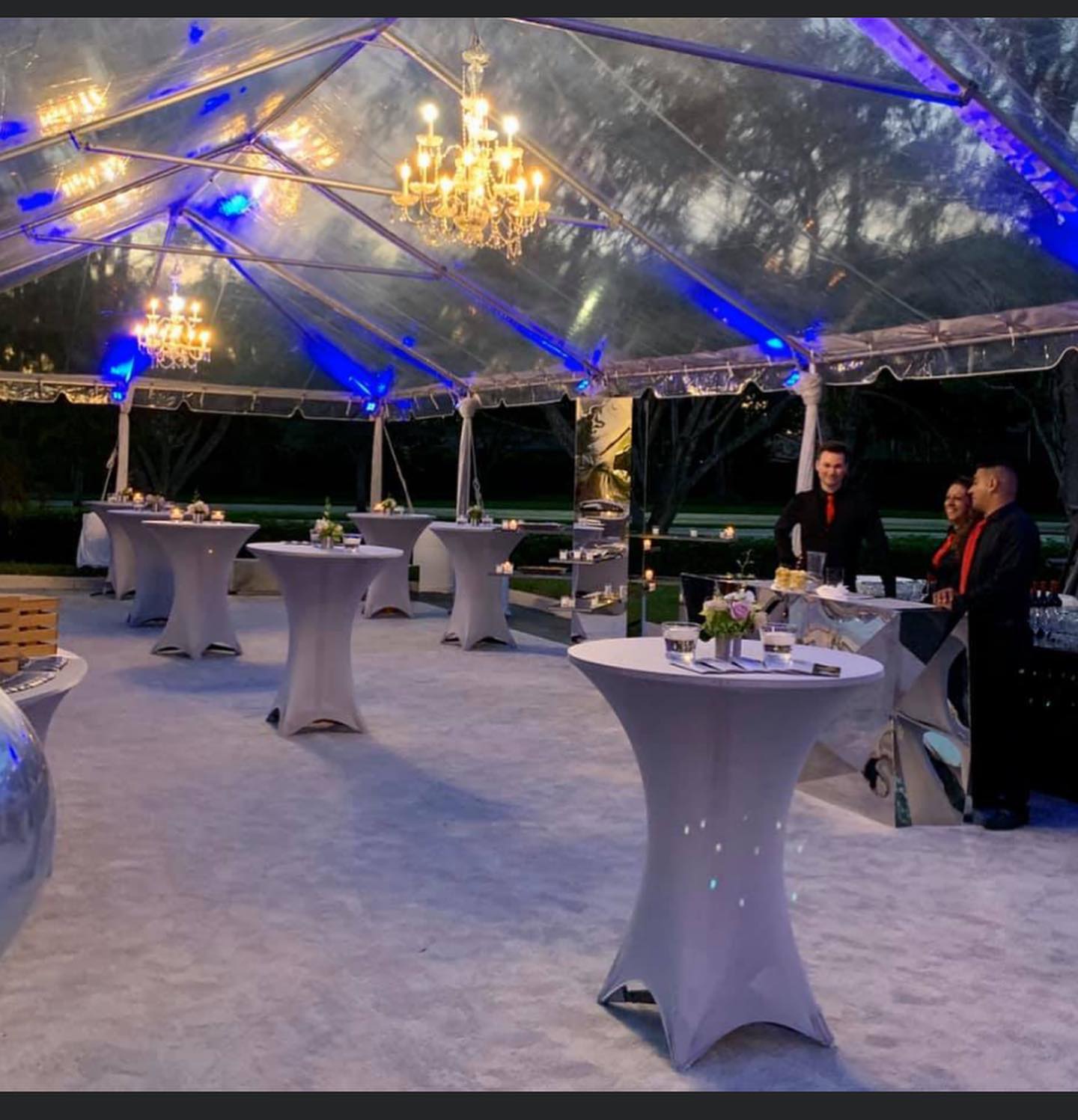Elegant Parties | South Florida Party, Wedding, & Event Rentals